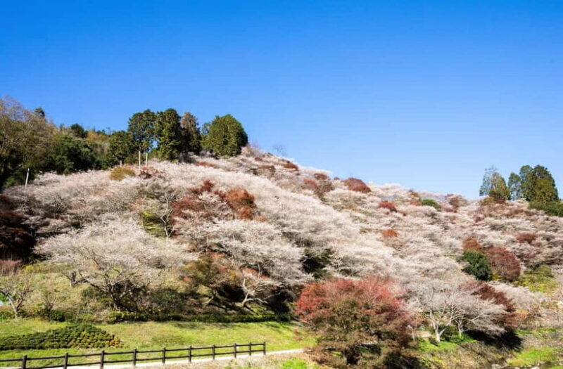 Toyota: Obara Washi Papermaking Experience Course - An Introduction to the Experience