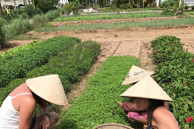 Tra Que Village Cycling And Farming - Who Should Consider This Tour?