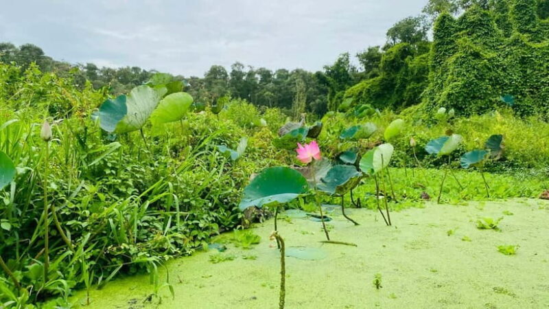 Tra Su Forest Full Day Tour From Can Tho city - Who Would Appreciate This Tour?