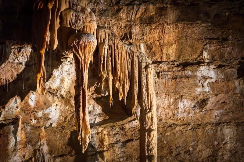 Trabuc: Visit the Trabuc Cave - FAQ