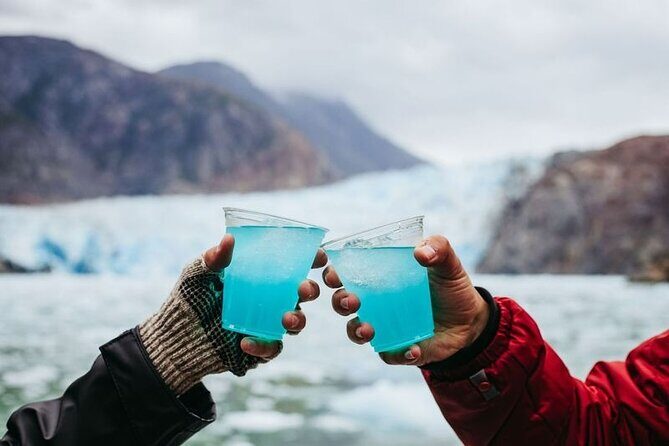 Tracy Arm Fjord and Glacier Explorer from Juneau - Authentic Experiences and Guest Feedback