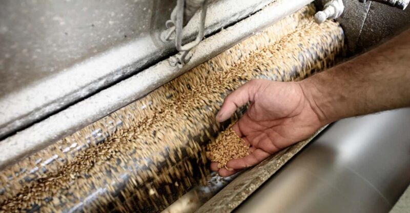 Tradition and taste: tour of Caltagirone's historic mill - An Authentic Glimpse into Sicily’s Grain Heritage