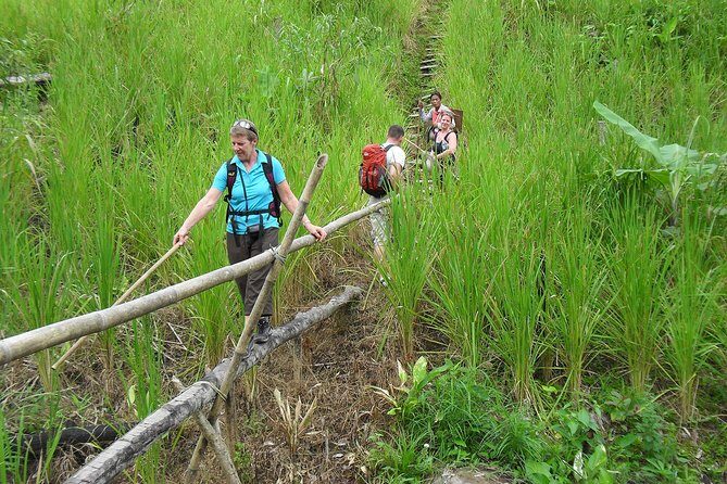 Traditional Bidayuh Village Bamboo Longhouse Tour - A Balanced Look at the Itinerary