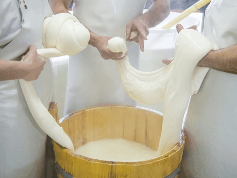 Traditional Cheese Factory Visit with Tasting near Isernia - Traditional Cheese Factory Visit with Tasting near Isernia