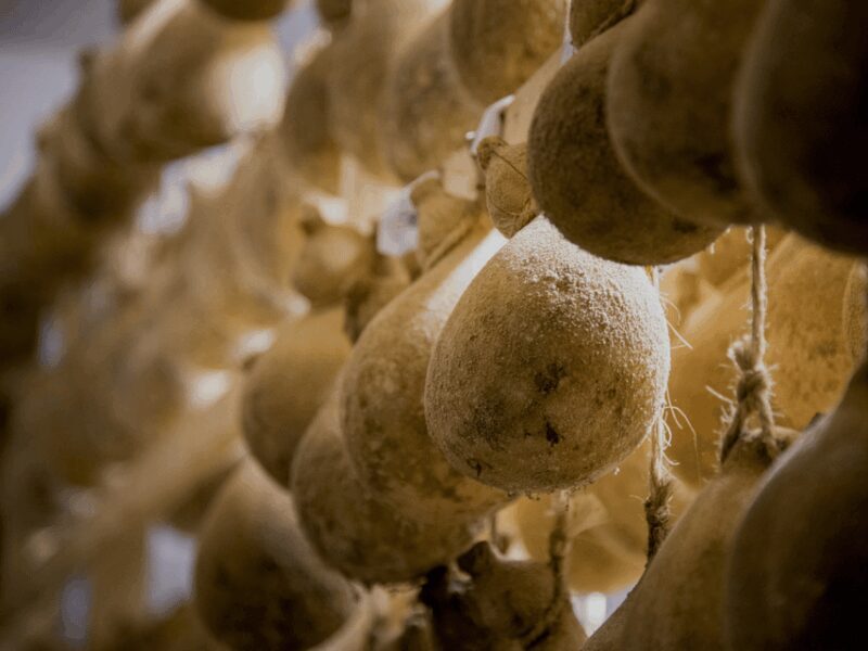Traditional Cheese Factory Visit with Tasting near Isernia - Final Thoughts