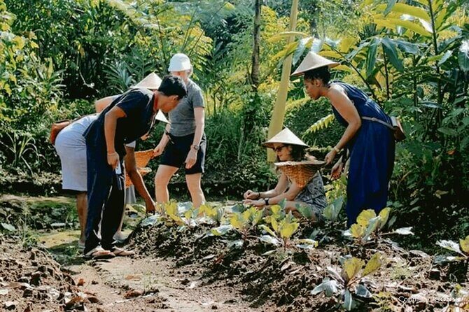 Traditional Cooking Class In Ubud With Local Balinese Family - Final Thoughts