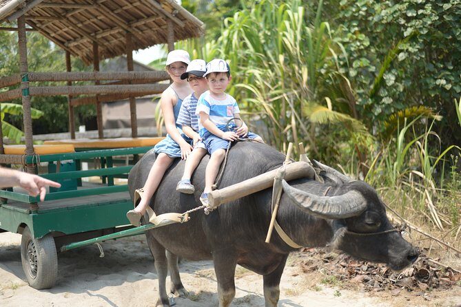 Traditional Cooking Class with Basket Boat Ride and market Tour - The Itinerary Breakdown: A Day in Hoi An’s Culinary and Cultural Heart