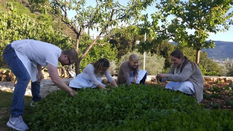 Traditional Dalmatian Cooking Class from Dubrovnik - Who Should Book This?