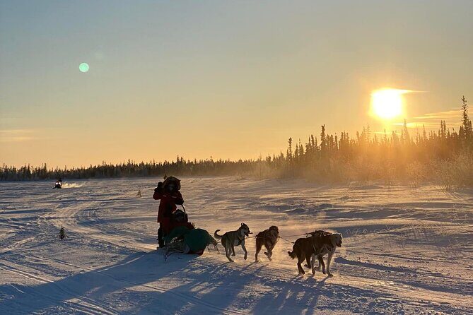Traditional Dog Sledding Adventure in Yellowknife - Frequently Asked Questions