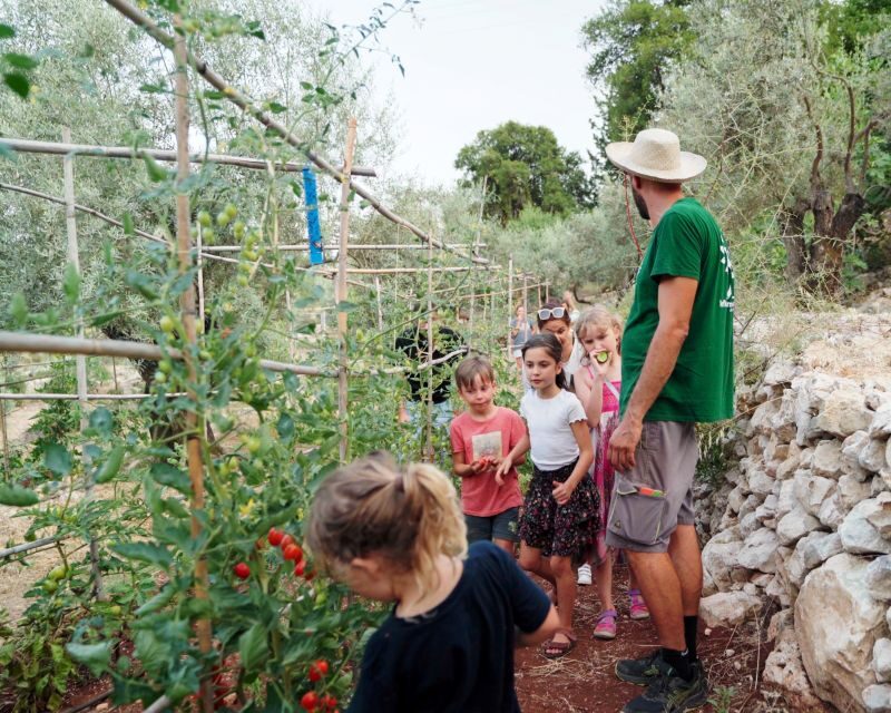 Traditional Greek Cooking Class @ Lefkada Micro Farm - Who Will Love This Experience?