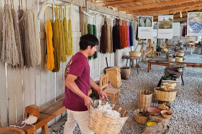 Traditional Market ,Widest Tree, Artisanal Textiles, Mezcal Magic - The Sum Up