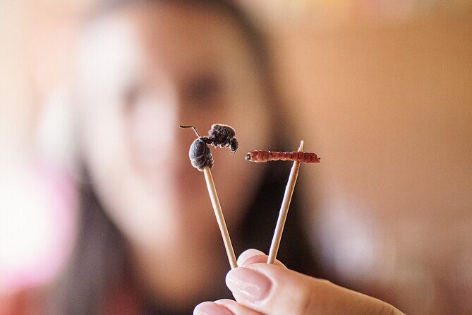 Traditional Oaxacan Cooking Class - Frequently Asked Questions