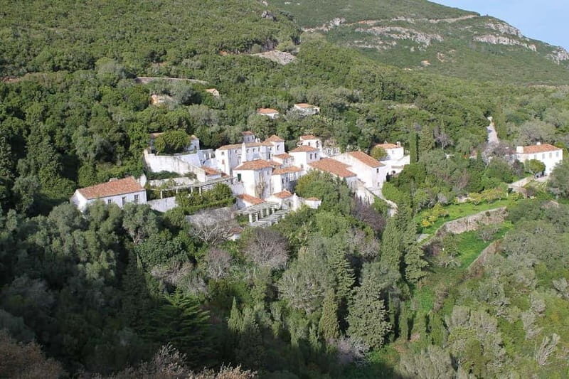 Traditional Private Setúbal Food Tasting Experience - Practical Information and Tips