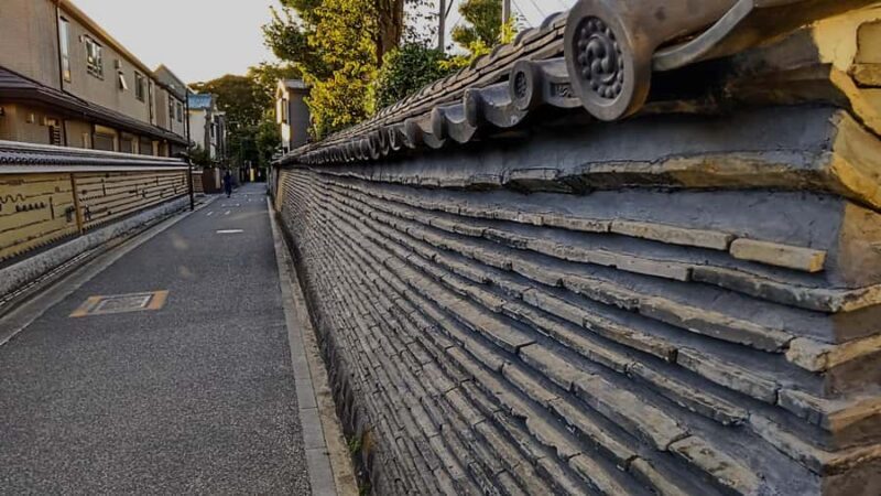 Traditional Tokyo: full day tour of Tokyo's historical sites - The Ups and Downs