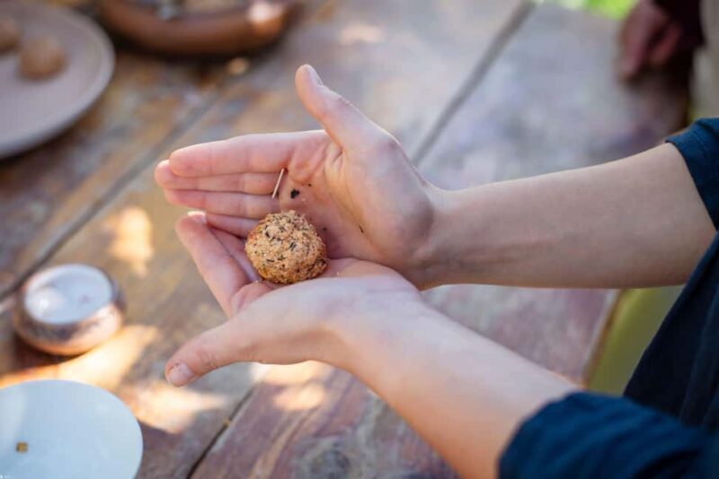 Traditional Vegetarian Food & Village Dance Masterclass - Key Points