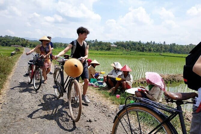 Traditional Village Bicycle Tour at Yogyakarta with Transfer - Key Points