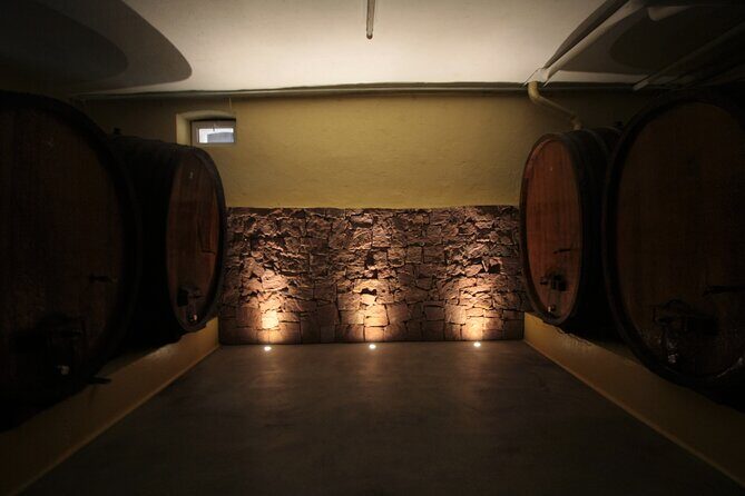 Traditional visit and tasting - A Closer Look at the Experience