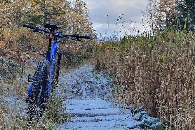 Trail challenge with electric mountainbike - Discovering Bodø’s Natural Beauty on an Electric Mountain Bike