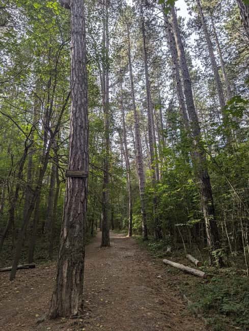 Trail Running Adventure - Key Points