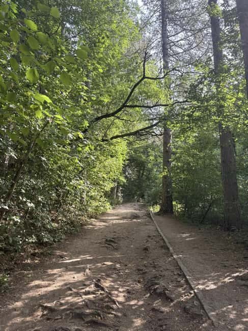 Trail Running Adventure - Exploring the Trail Running Adventure Near Sofia