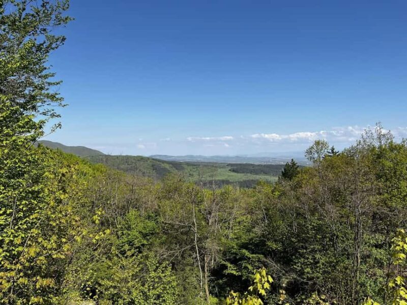 Trail Running Adventure - FAQs