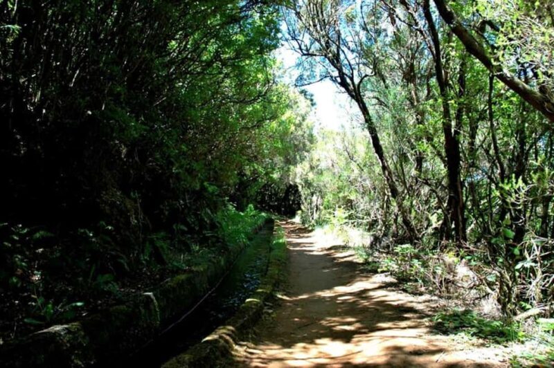Trail to Wind Lagoon  Explore Levada do Alecrim - What makes this hike special?
