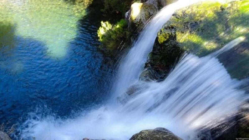 Trail to Wind Lagoon  Explore Levada do Alecrim - The experience reviews