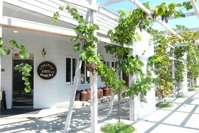 Train and Taxi Grape Temple and Winery Tour in Yamanashi - Key Points