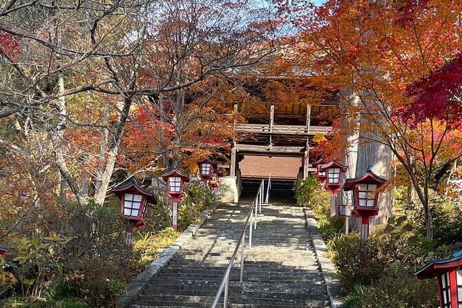 Train and Taxi Grape Temple and Winery Tour in Yamanashi - Who Will Love This Tour?