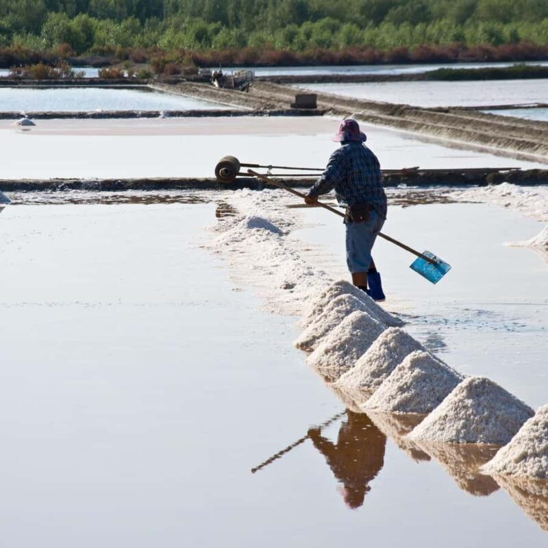 Train Market, Floating Market, and Salt Lake Tour by driver - Who Will Love This Tour?