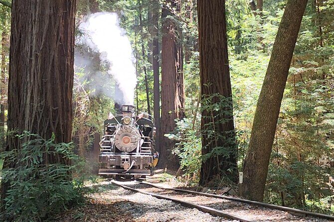 Train Ride Adventure through Mother Natures Giant Redwoods Park - What You’ll Experience on the Day