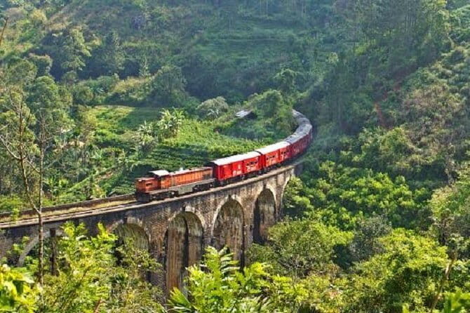 Train Tickets from Ella to NuwaraEliya (Nanuoya) - An Overview of the Ella to Nuwara Eliya Train Experience