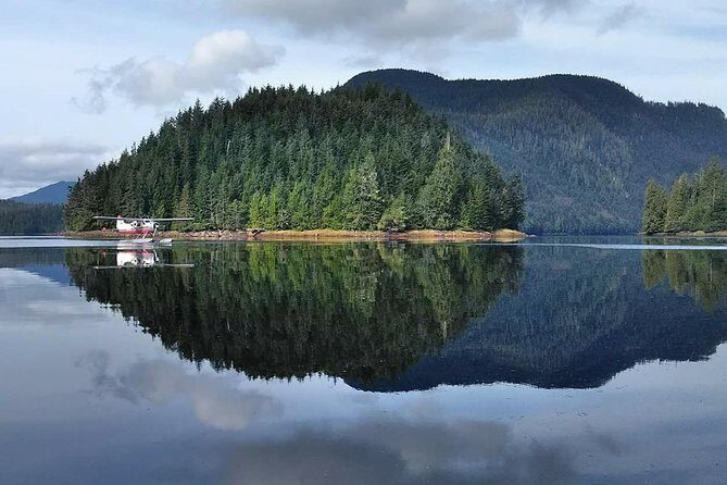 Traitors Cove Bear Viewing - Final Thoughts: The Takeaway