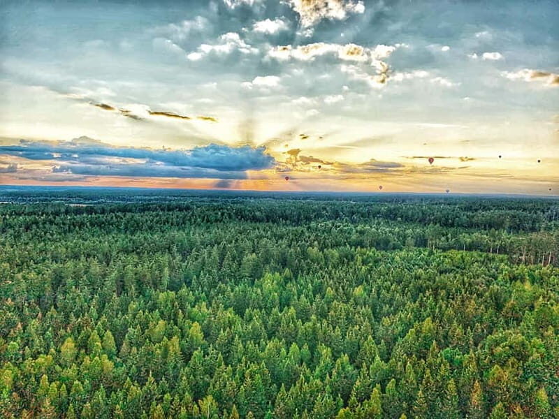 Trakai Hot Air Balloon Flight - Key Points