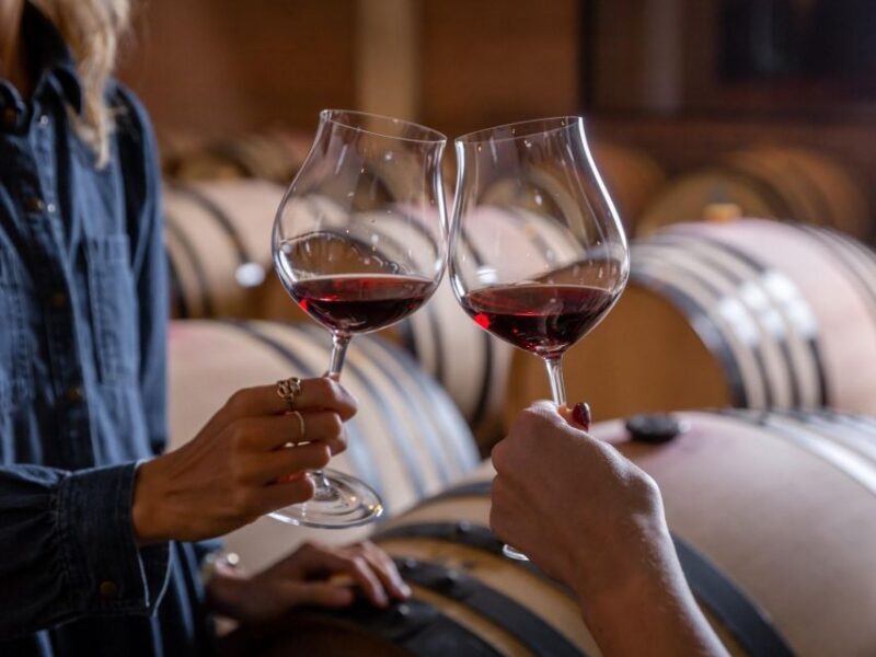 Tramin/Termeno: Winery Tour & Wine Tasting, J. Hofstätter - A Genuine Glimpse into an Alto Adige Winery