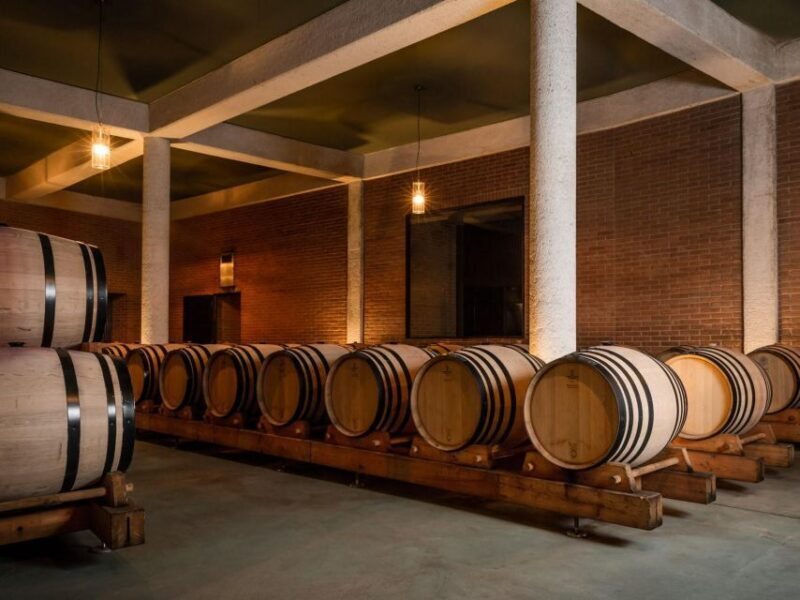 Tramin/Termeno: Winery Tour & Wine Tasting, J. Hofstätter - The Cellar and Winemaking
