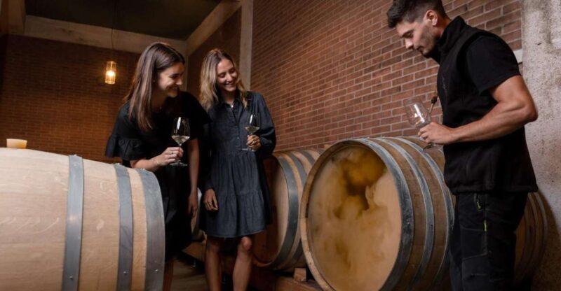 Tramin/Termeno: Winery Tour & Wine Tasting, J. Hofstätter - Who Will Benefit Most?