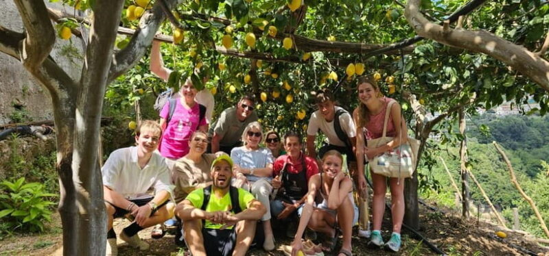 Tramonti: Lemon Tour at "Formichelle" Farm on Amalfi Coast - Dive into the Heart of the Amalfi Lemon Tradition