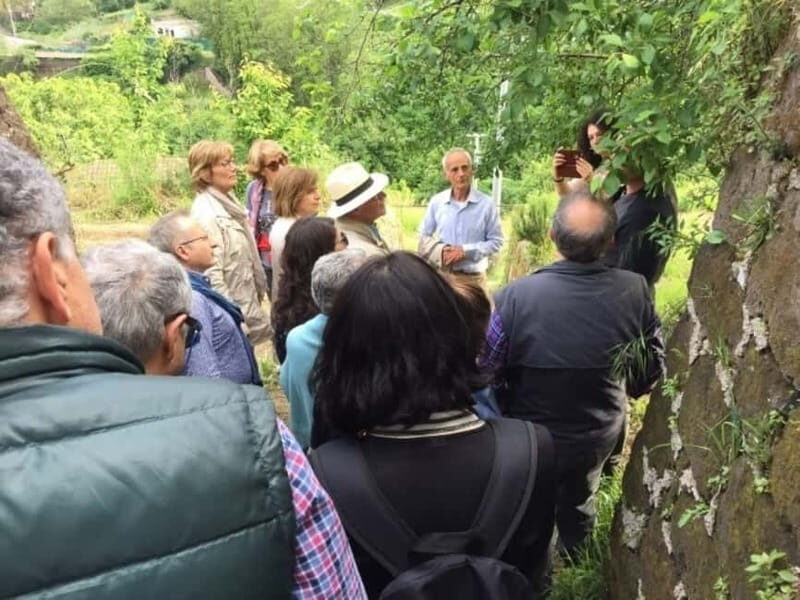 Tramonti: "Re Fiascone" Tomato Tasting - Key Points