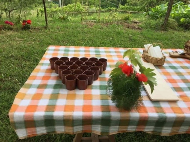 Tramonti: "Re Fiascone" Tomato Tasting - An In-Depth Look at the Tramonti "Re Fiascone" Tomato Tasting