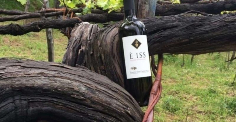 Tramonti: Tenuta San Francesco Wine Tasting - Who Will Enjoy This Tour?