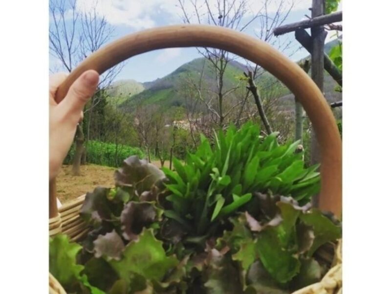 Tramonti: Traditions of the Mediterranean Diet Cooking Class - Tramonti: Traditions of the Mediterranean Diet Cooking Class – An Authentic Taste of the Amalfi Coast