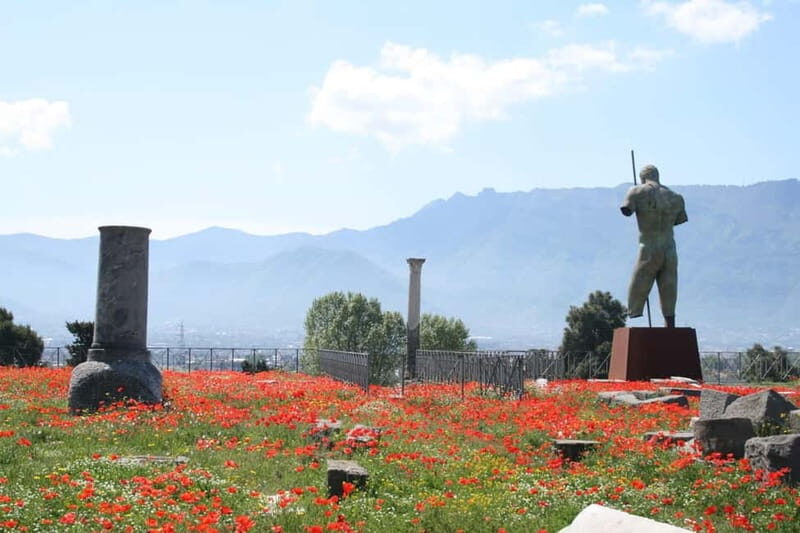TRAMVIA -Da Naples: Pompei Ruins and Vesuvio Transfer by Bus - FAQs