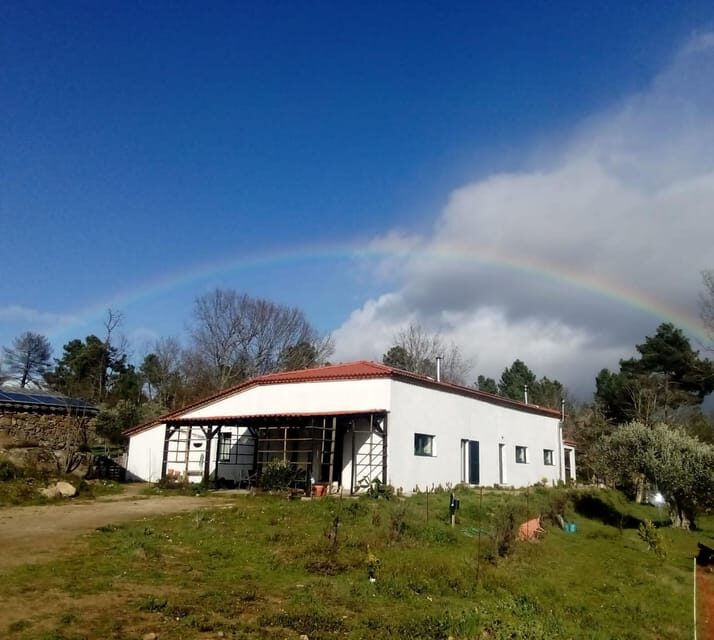 Trancoso: Farm eco-Tour with Tasting - An Overview of the Farm Eco-Tour Experience in Trancoso