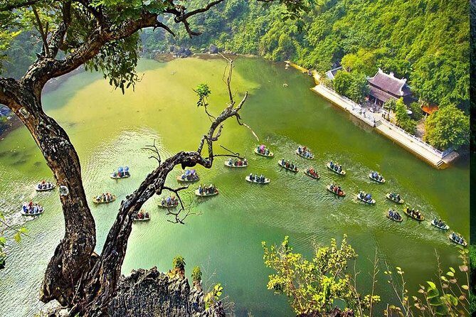 Trang An Bai Dinh Mua Cave Luxury 1 Day Group Tour From Hanoi - The Itinerary in Detail: What to Expect