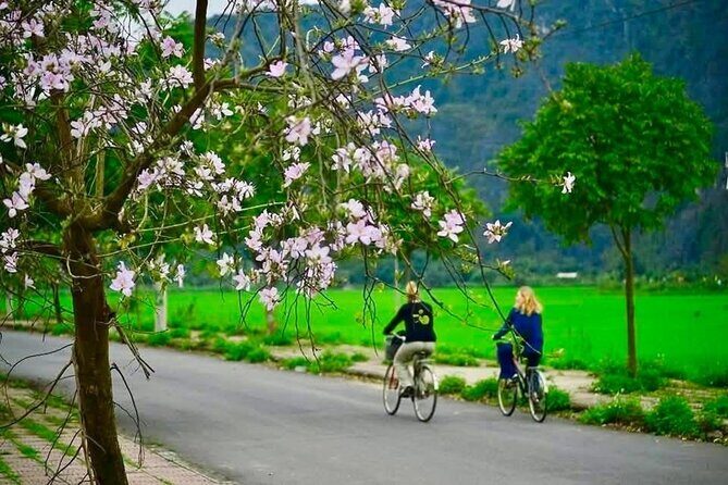 Trang An Full Day Limousine Adventure - Climbing the Mua Cave for Panoramic Views