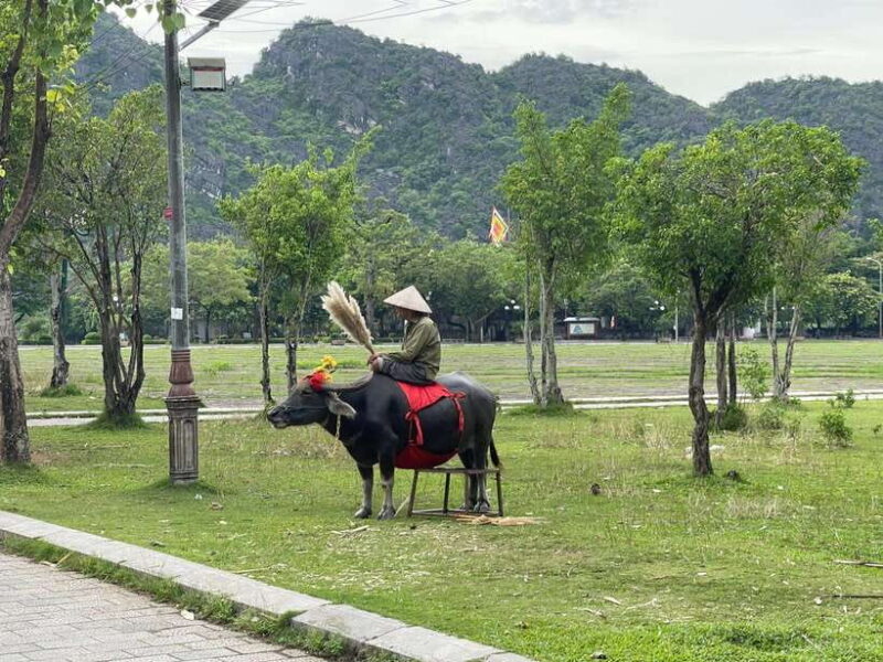 Trang An - Mua Cave - Hoa Lu - Biking- visiting local family - Potential Drawbacks: Considerations Before Booking