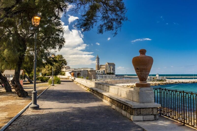 Trani: Private Guided City Tour - Key Points