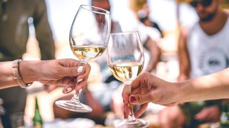 Trani Wine Tours: Flavors of Puglia - An Honest Look at the Experience