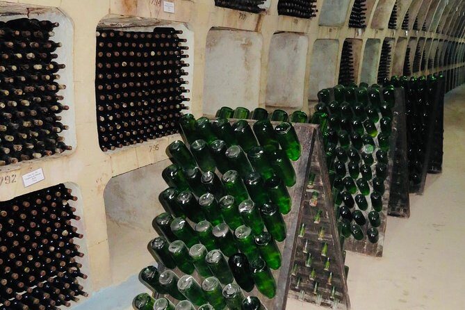Transdniestria Tour & Milestii Mici Winery - A Practical Look at the Tour Experience